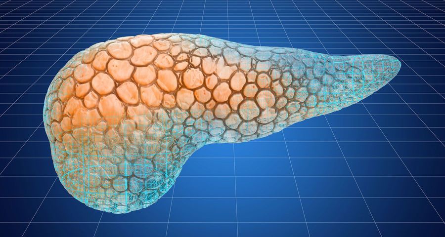 Pancreatic Tissue Preservation Tech Reveals Beta Cell Regeneration ...
