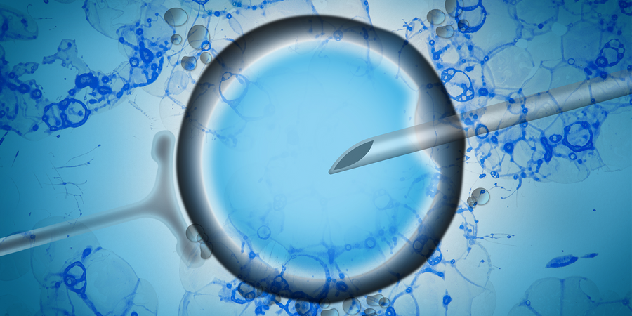 Abnormal Cells in Early-Stage Embryos Might Not Preclude IVF Success ...