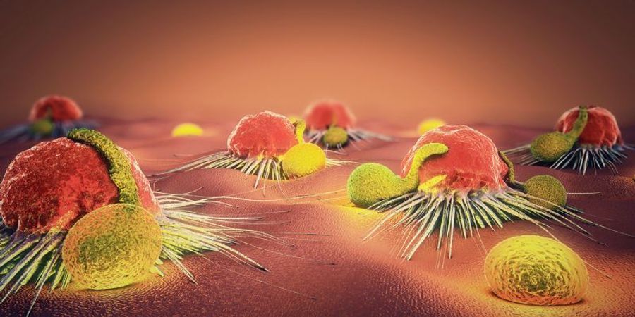 Learning How Cancer Cells Evade Immune Defenses Inspires New Treatment ...