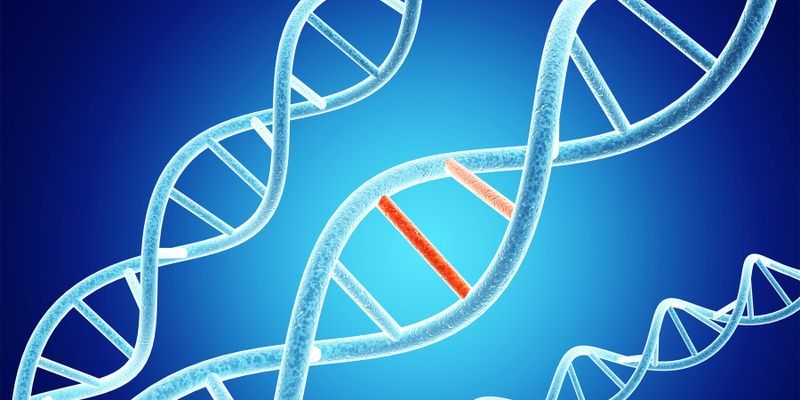 USC Researchers Discover Better Way to Identify DNA Variants | Today's ...