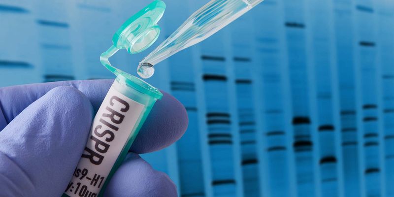 Researchers Develop CRISPR-Based Rapid Diagnostic Tool for SARS-CoV-2 ...