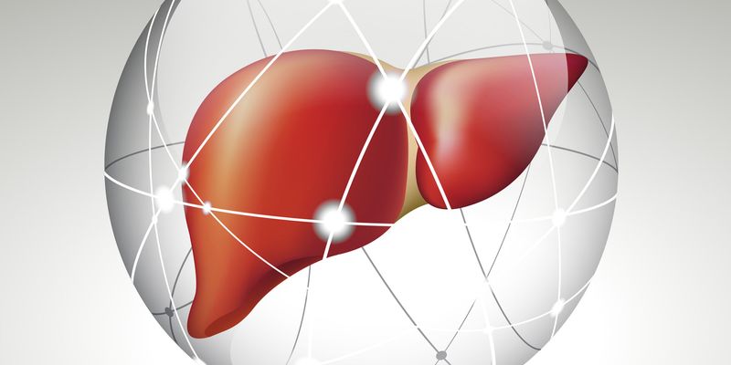 A Human Liver Was Treated in a Machine and Then Successfully ...