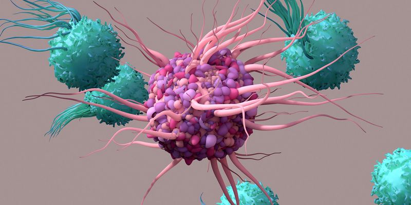 Dendritic Cells Crucial for Immunotherapy in Cancer Patients | Today's ...