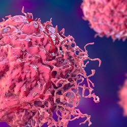 Promega Microsatellite Instability Molecular Test, OncoMate™ MSI Dx ...