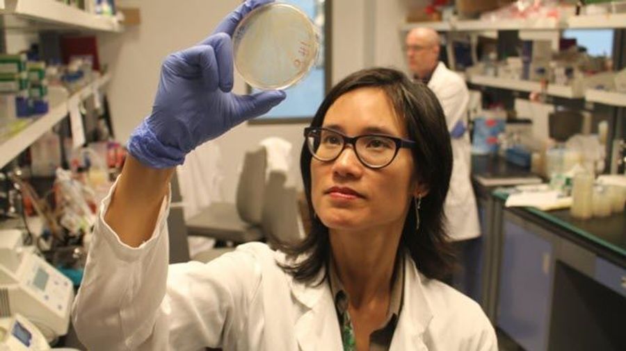New Means to Fight 'Un-Killable' Bacteria in Healthcare Settings ...